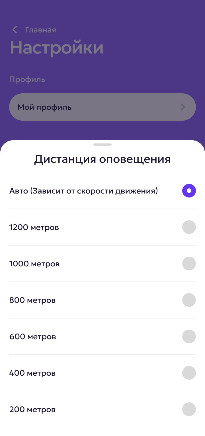 Sputnik — помощник водителя